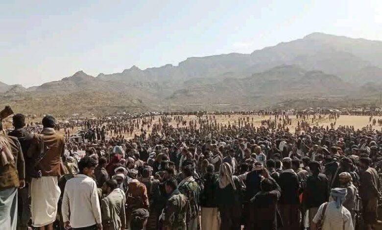 Tribal Gathering in Ibb Grants Houthis One Week to Release "Al-Fadel ...